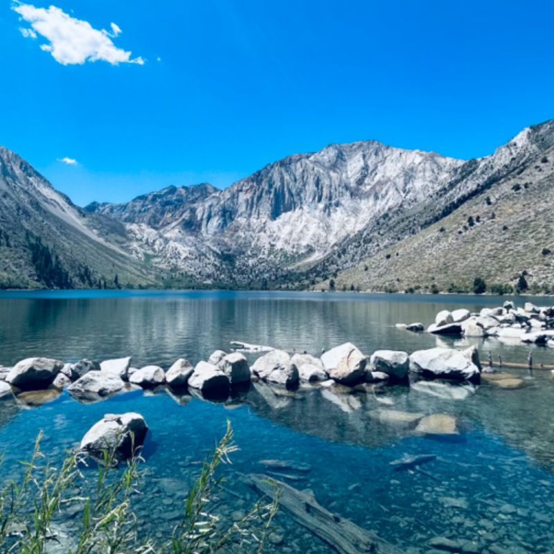 Savannah McCorkle Brandon Beard Wedding Gift Registry | Crate & Barrel