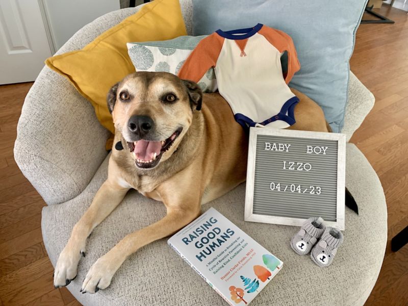 Amy Roemer Baby Gift Registry | Crate & Kids