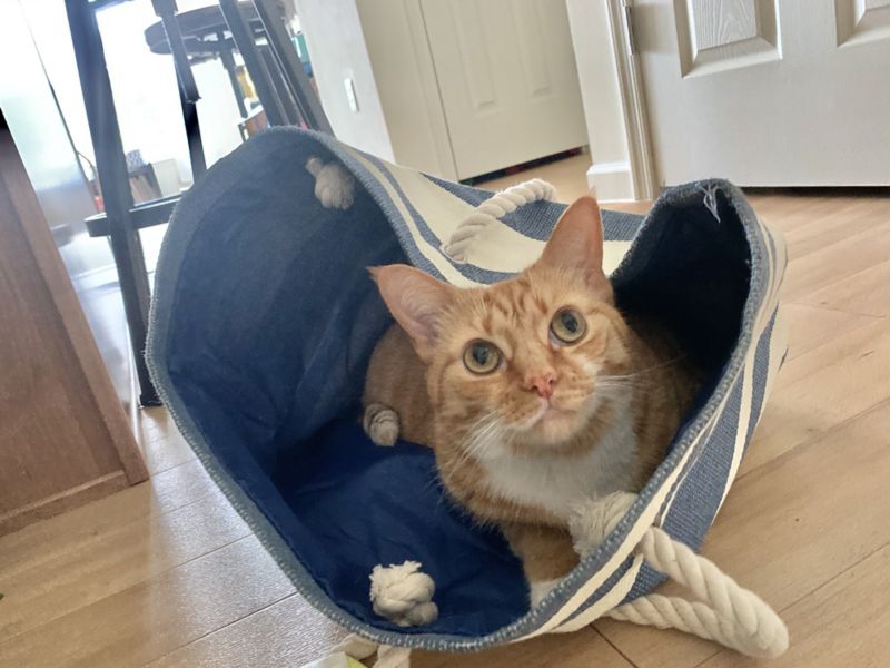 Caity Gray & Chris Tumminello Wedding Gift Registry | Crate and Barrel