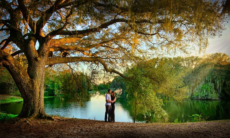 Bethany Stamey & Kevin Moran Wedding Gift Registry | Crate & Barrel